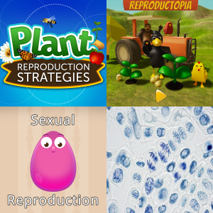 Free Lesson: Sexual Reproduction and Genetic Variation MS-LS3.B-1 ...