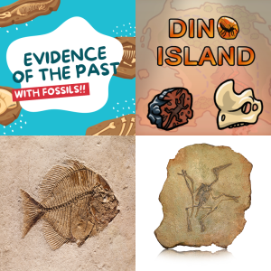 Game Based Learning: Fossil Evidence ES-LS4.A-2 - Free Games and Videos ...