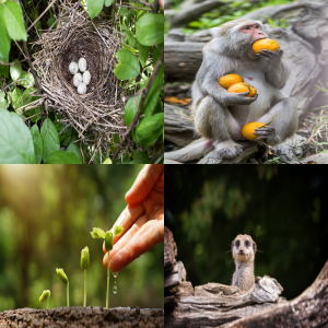 For Class: Life Sciences - Assessments - Legends of Learning