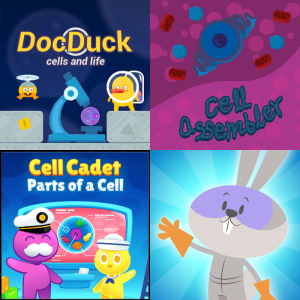 Free Educational Games: 6th Grade - Cycle 4 - Free Educational Games ...