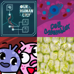 Teaching Plan: Multicellular Organisms and their Subsystems MS-LS1.A-3 ...