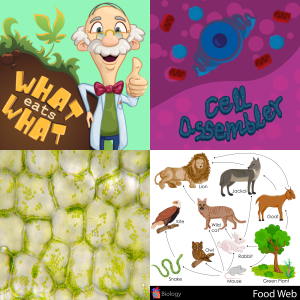 Free Lesson: Parts of the Cell - Plants vs. Animals MS-LS1.A-2b ...