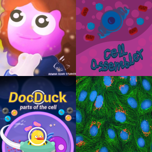 For Class: Cell Comparison Across Kingdoms 7.LS1.2 - Free Games and ...