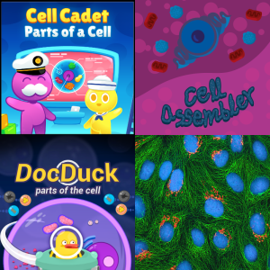 Game Based Learning: Parts of the Cell S7L2.a - Free Games and ...