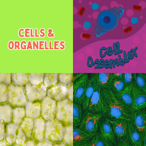 Teaching Plan: Parts of the Cell MS-LS1.A-2a - Free Games, Assessments ...