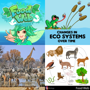 Worksheet: Factors in Ecosystems: Dependence and Competition 8.11A ...