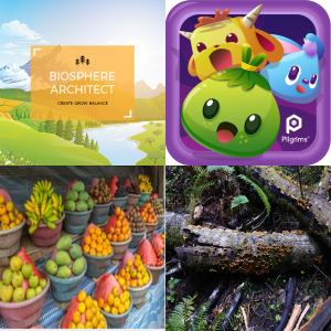 Free Lesson: Cycles of Matter and Energy Transfer in Ecosystems LS2.B-1 ...