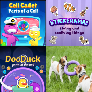 Free Educational Games: Characteristics of Life and Cell Structures ...