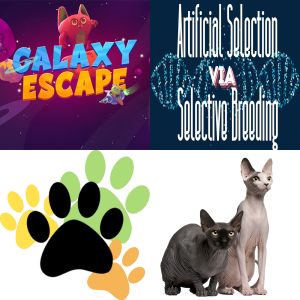 Lesson: Artificial Selection via Selective Breeding MS-LS4.B-2 - Free ...