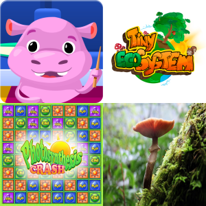 Free Lesson: Photosynthesis, Cellular Respiration, Carbon Cycle - Free ...