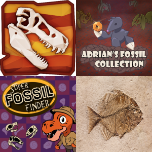 Lesson: 6th Grade - Fossil Record - Free Games and Assessments ...