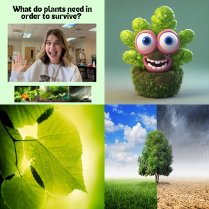 Student Lesson: Photosynthesis Unit - Free Games, Assessments, and ...