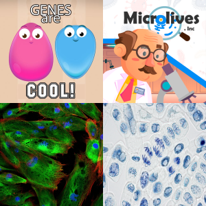 Free Lesson: Reproduction and Gene Transfer MS-LS1.B-4 - Free ...