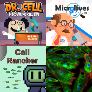 Practice: Cell Theory SC.6.L.14.2 - Free Games and Assessments ...
