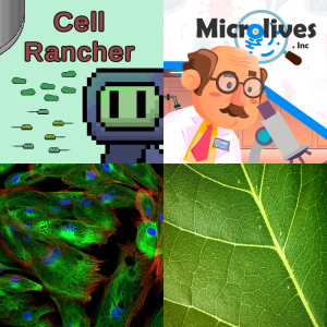 Game Based Learning: Cells and Life MS-LS1.A-1 - Free Games and ...