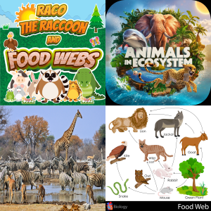 Lesson: Food Webs in an Ecosystem L.6.3.5 - Free Educational Games ...