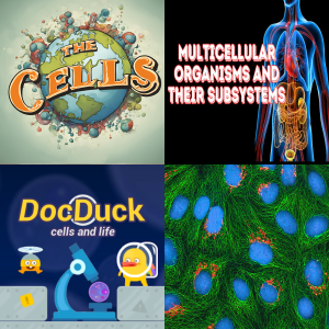 Practice: Unicellular and Multicellular Organisms LS.3b - Free Games ...