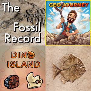 Worksheet: The Fossil Record MS-LS4.A-1 - Free Games, Assessments, and ...