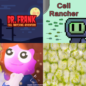 Free Lesson: Levels of Organization: Cells to Organisms S7L2.b - Free ...