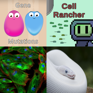 Student Lesson: Gene Mutations 8-LS3.B-2 - Free Educational Games ...