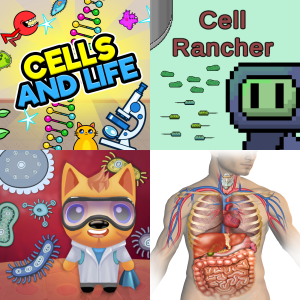 Teaching Plan: Hierarchical Organization of Multicellular Organisms 7 ...