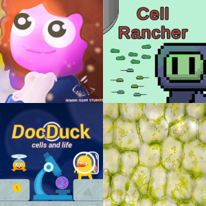 For Class: Cells 6.LS.1 - Free Games and Assessments - Legends of Learning