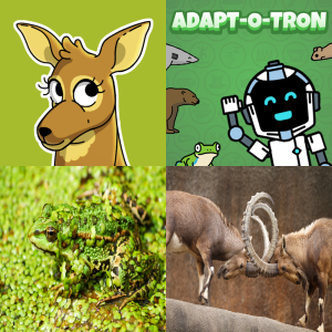Game Based Learning: 10. Investigation: Animal Behavior - Free Games ...