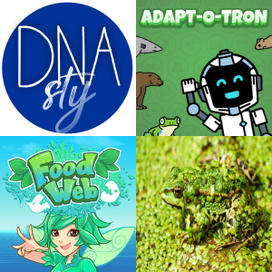 Lesson: Cycles of Matter and Energy Transfer in Ecosystems ES-LS2.B-1 ...