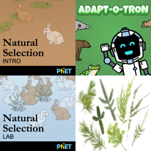 Lesson: Natural Selection and Selective Breeding 7.11C - Free Games and ...