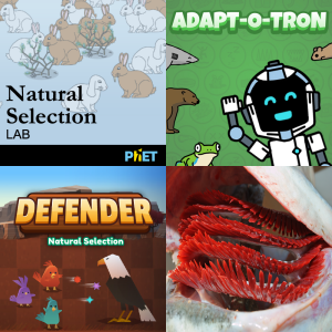 Lesson: Natural Selection and Selective Breeding 7.11C - Free Games ...