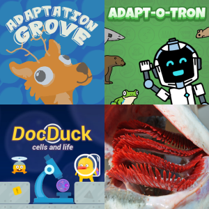 Lesson: Cell Theory 7.12F - Free Educational Games - Legends of Learning