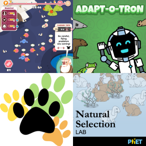 Practice: Gene Mutations, Evolution, Natural Selection, Selective ...