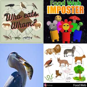 Free Homework Prep: Food Webs in an Ecosystem MS-LS2.B-1 - Free Games ...