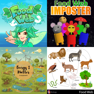 Student Lesson: Cycles of Matter and Energy Transfer in Ecosystems ES ...