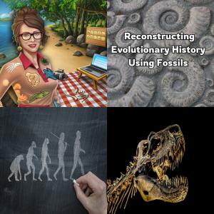 Worksheet: Evolution - Free Games, Assessments, and Videos - Legends of ...