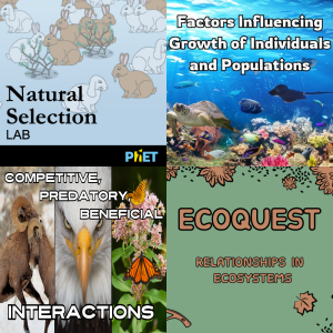 For Class: Environmental Changes and Adaptation 8.12A - Free Games ...