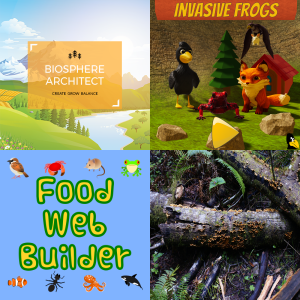 Free Educational Games: Cycles of Matter and Energy Transfer in ...