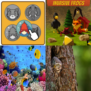 For Class: Applications of Sound Waves 5.5d - Free Educational Games ...