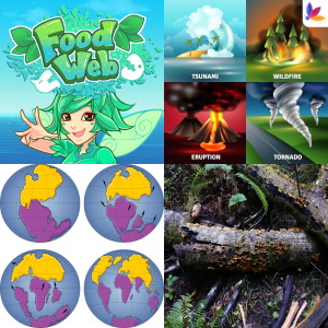 Teaching Plan: Cycles of Matter and Energy Transfer in Ecosystems ES ...