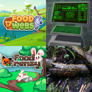 Student Lesson: Cycles of Matter and Energy Transfer in Ecosystems 4 ...