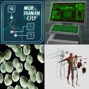 Student Lesson: Functions and Interactions of Humans' Body Systems SC.6 ...