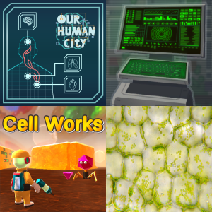Practice: Cell and Organism Functions 7.12E - Free Educational Games ...