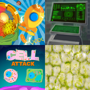 For Class: Homeostasis and the Cell Membrane 7.LS1.2 - Free Educational ...