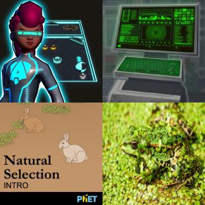 Game Based Learning: Mutation, Adaptation, Natural Selection, and ...