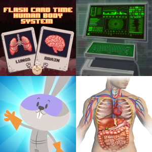 Game Based Learning: Major Systems of the Human Body 7.L.1.4 - Free ...