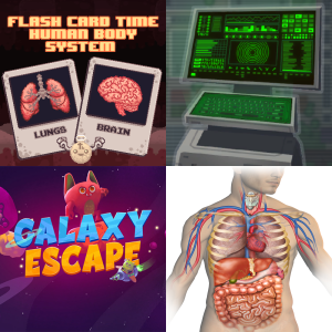 Practice: Human Organs Functions SC.5.L.14.1 - Free Games and ...