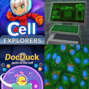 Free Homework Prep: Parts of the Cell MS-LS1.A-2a - Free Educational ...