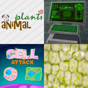 For Class: Parts of the Cell - Plants vs. Animals MS-LS1.A-2b - Free ...