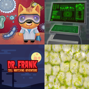 Free Homework Prep: Levels of Organization: Cells to Organisms 7.12C ...