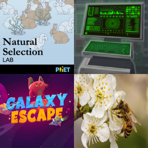 Teaching Plan: Contributions of Genetic Variation and Environmental ...